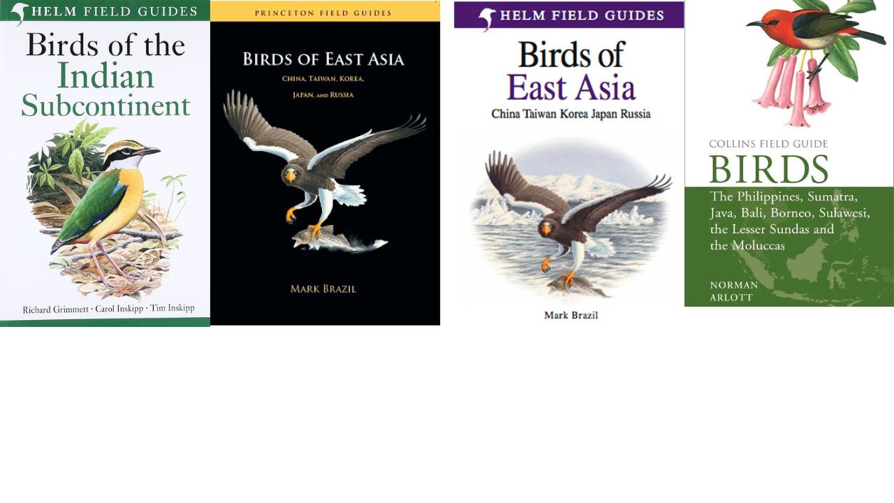 Birding Guides of Asia - The Ornithology